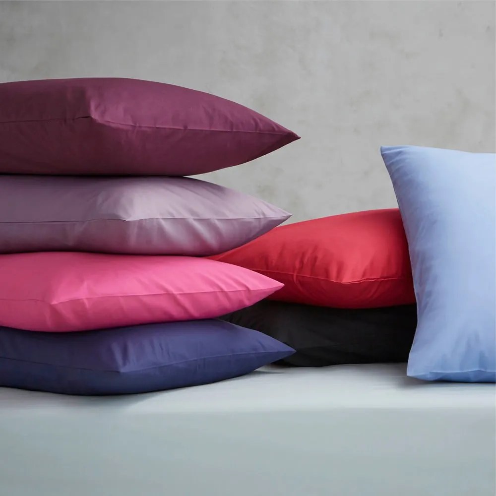 Perkálové povlaky na polštáře v sadě 2 ks 50x75 cm Easy Iron Percale – Catherine Lansfield