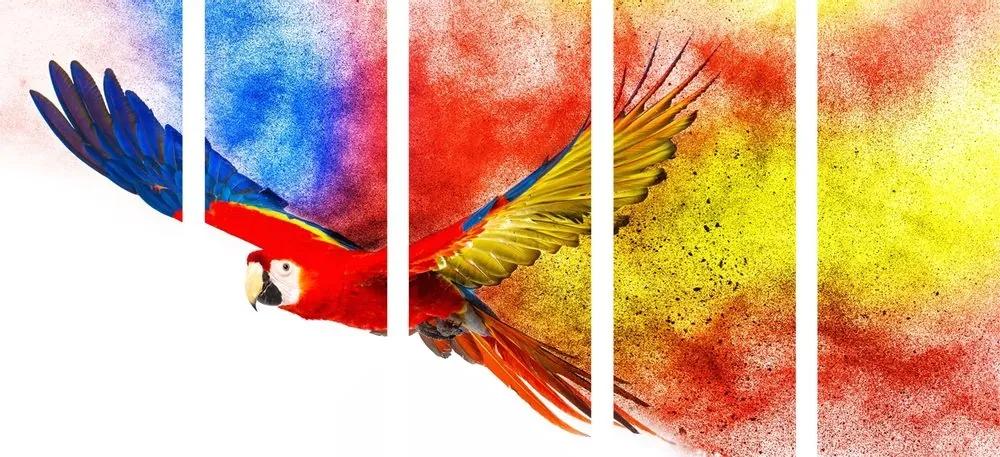 5-dílný obraz let papouška - 100x50 cm
