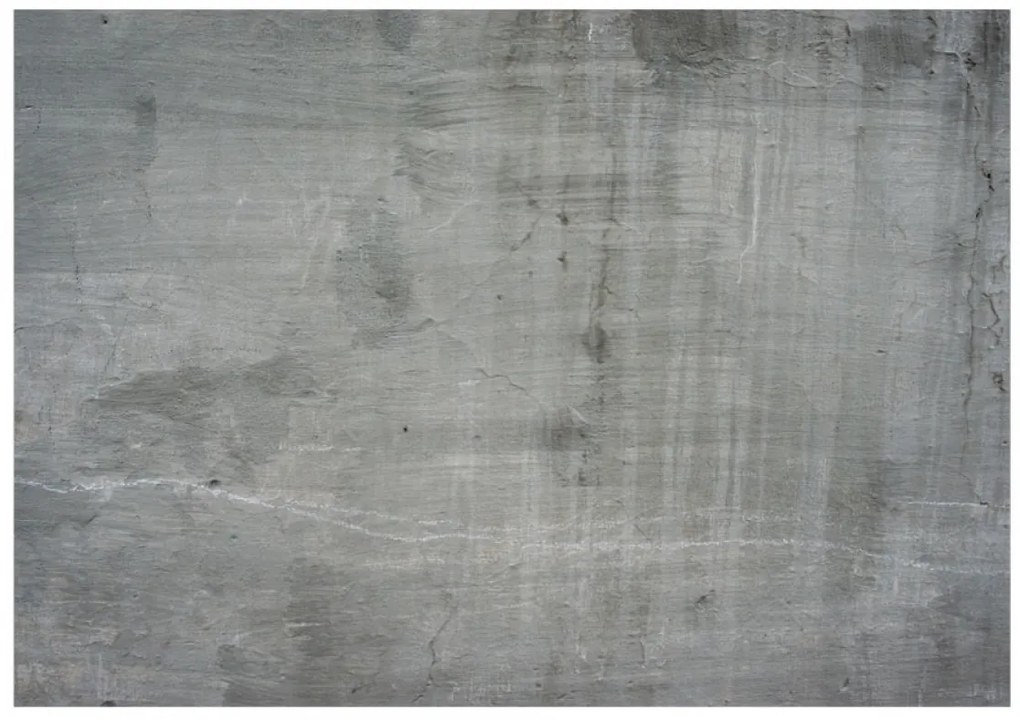 Tapeta betonová stěrka (350x245 cm) - Murando DeLuxe