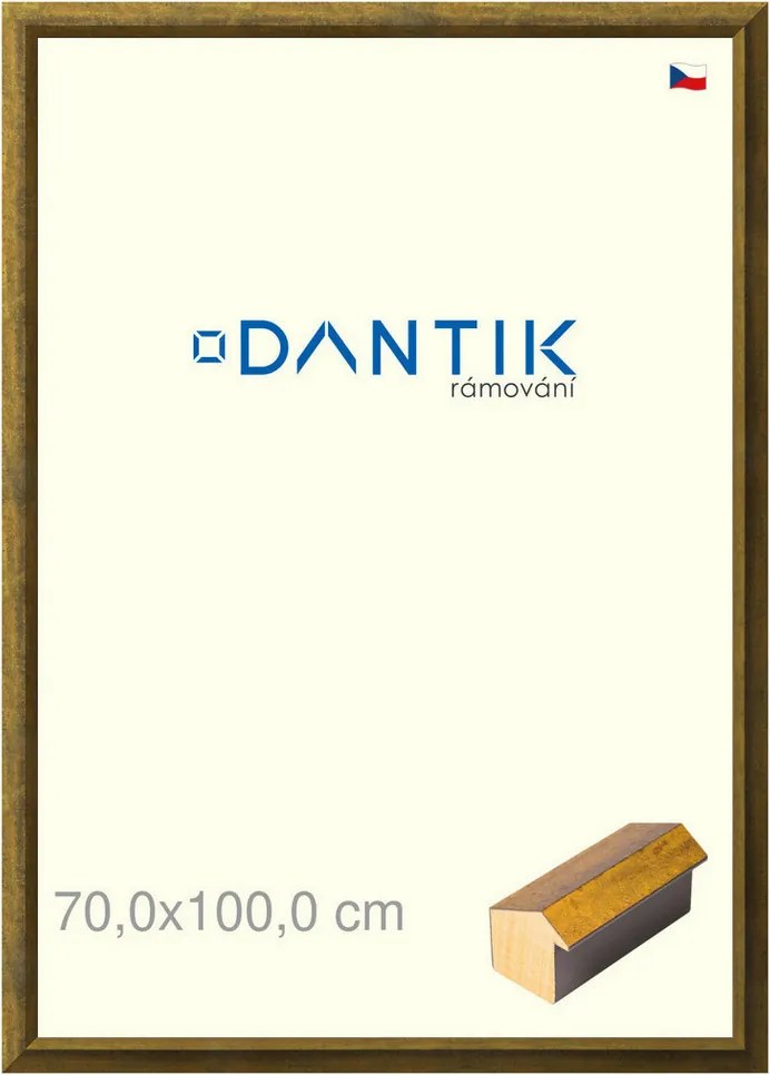 DANTIK rámeček 70x100 | Forgia Gold (Plexi Čiré)