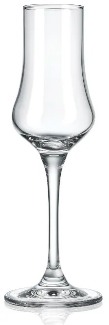 RONA UNIVERSAL SKLENICE NA GRAPPU 100ML SADA 6KS
