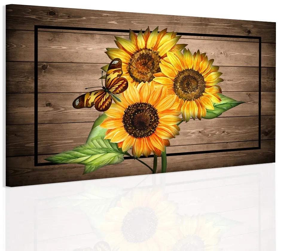Malvis ® Obraz slunečnice na dřevě Velikost: 120x80 cm