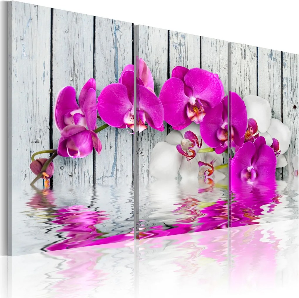 Obraz - harmonie: orchidea - triptych - 120x80