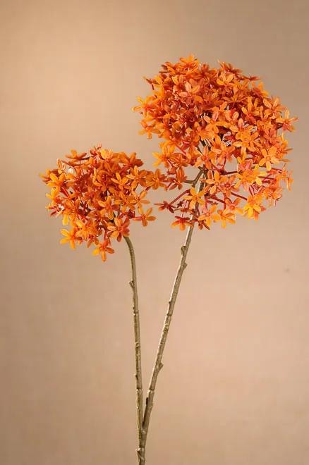 Paramit DRY CROWN FLOWER Aranžovací květina oranžová 71 cm