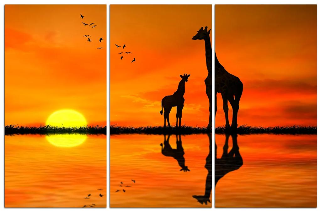 Obraz na plátně - Žirafy silueta 1919B (135x90 cm)