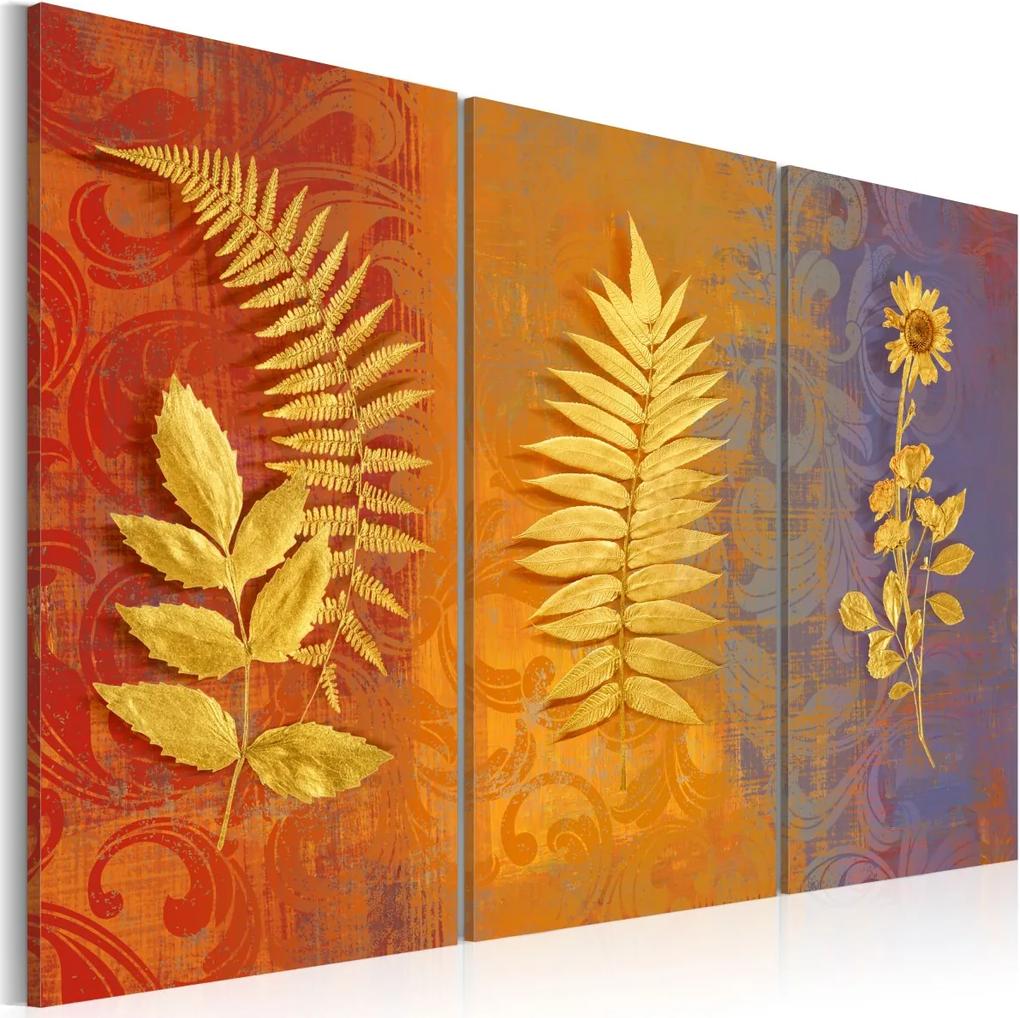 Obraz - Dried flowers - triptych - 120x80
