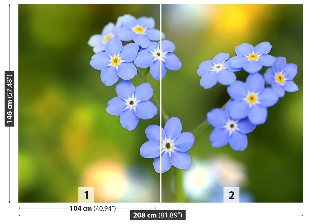 Fototapeta Forget-me-nots Srdce 104x70