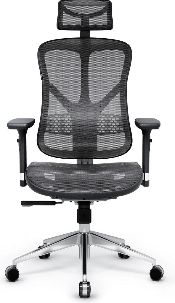 Ergonomická kancelářská židle ze síťoviny, černý-šedý: Diablo V-Basic