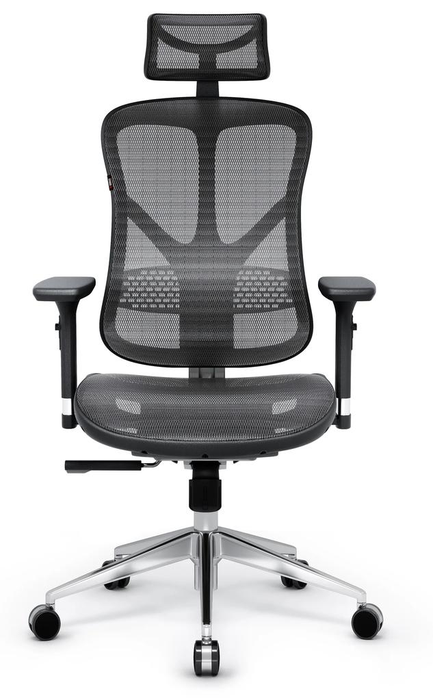 Ergonomická židle Diablo V-Basic: černo-šedá