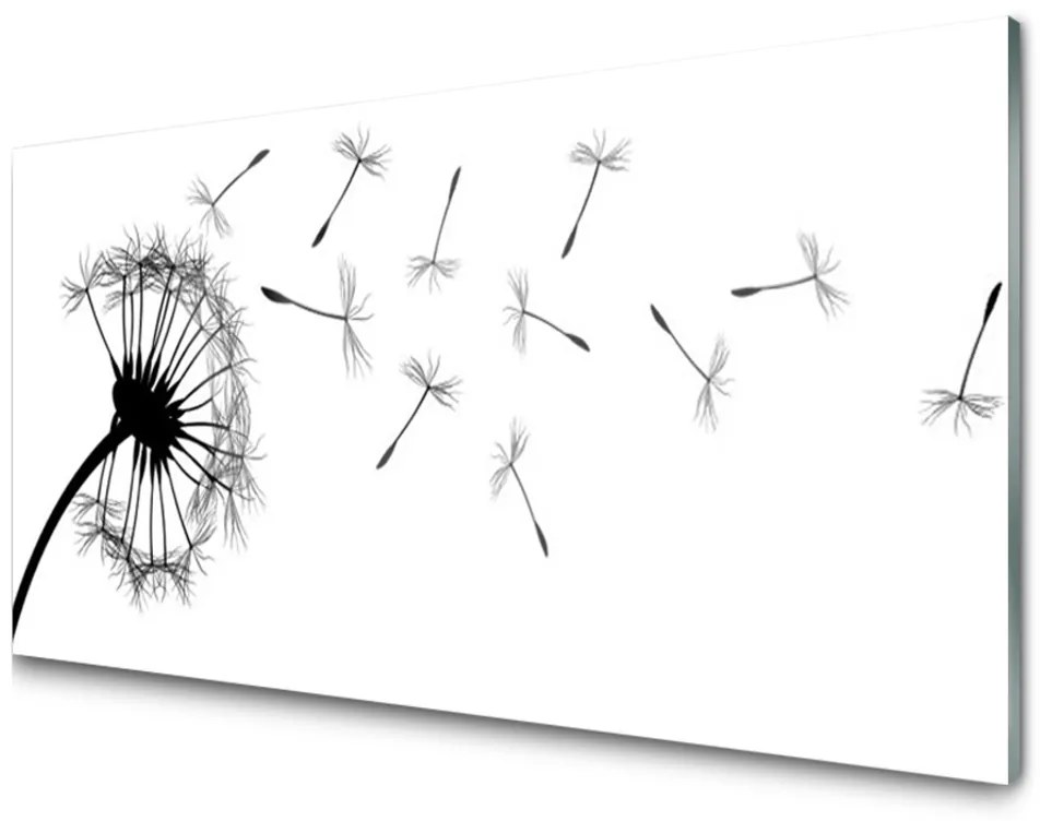 Plexisklo obraz Pampeliška Květ