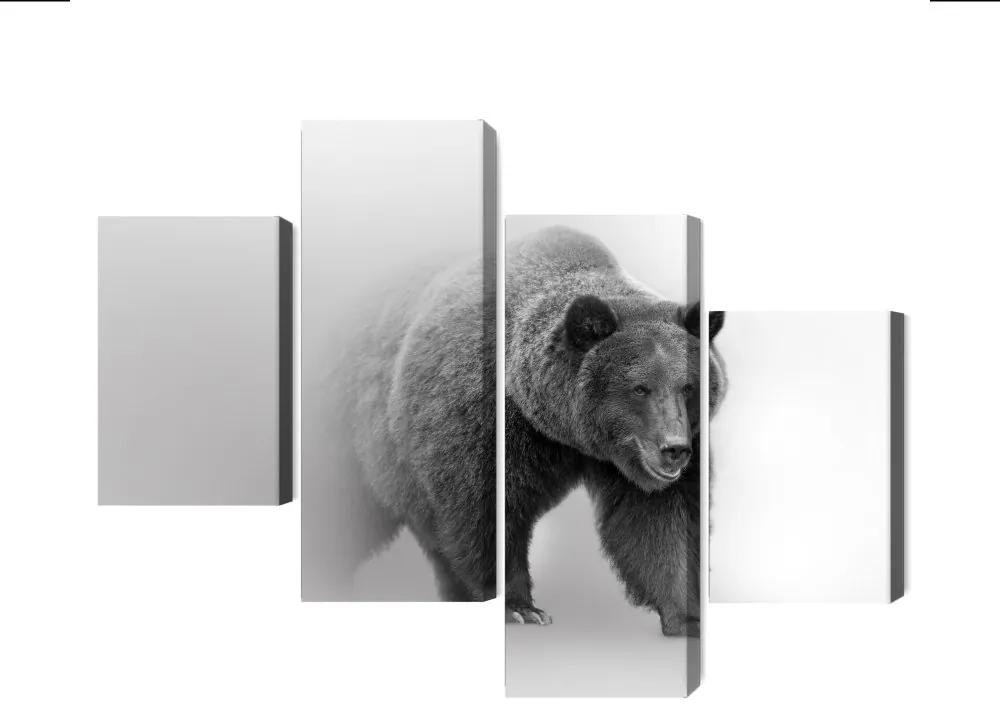 Vícedílný obraz Medvěd V Mlze 3D Nedostatek Nedostatek Přírodní plátno 240x150