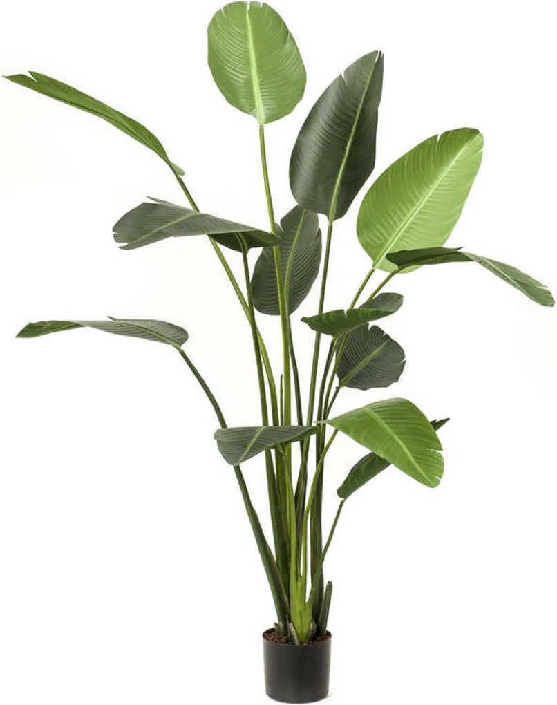 Strelitzia umělá V 230 cm