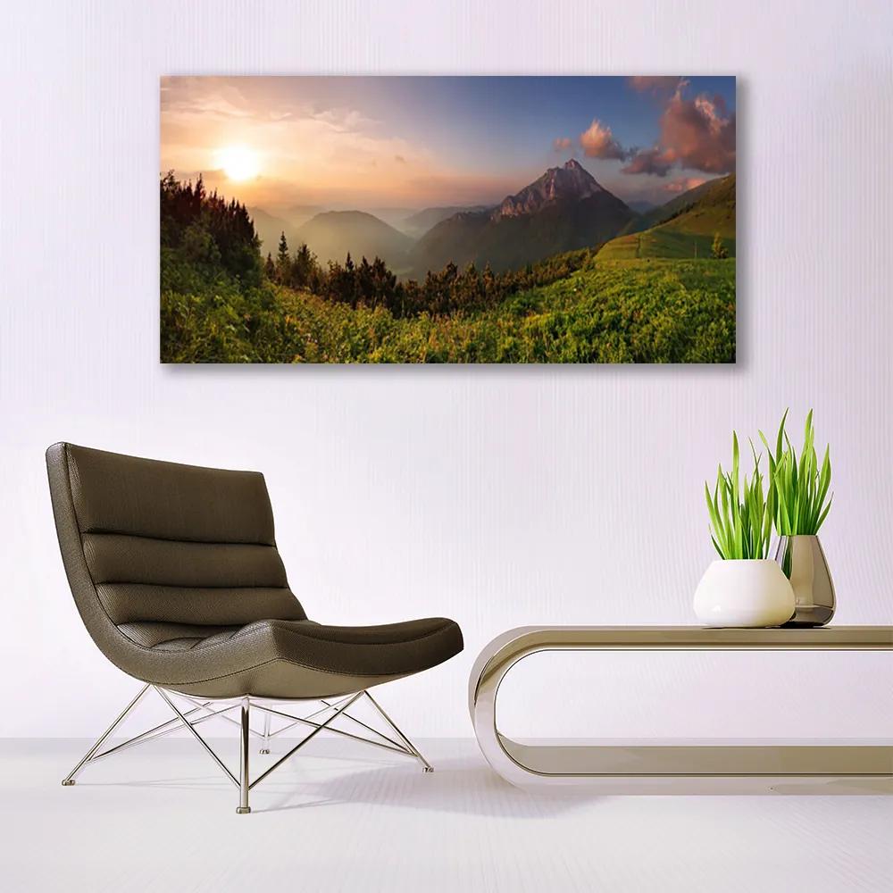 akrylový obraz Hora Les Příroda 120x60 cm