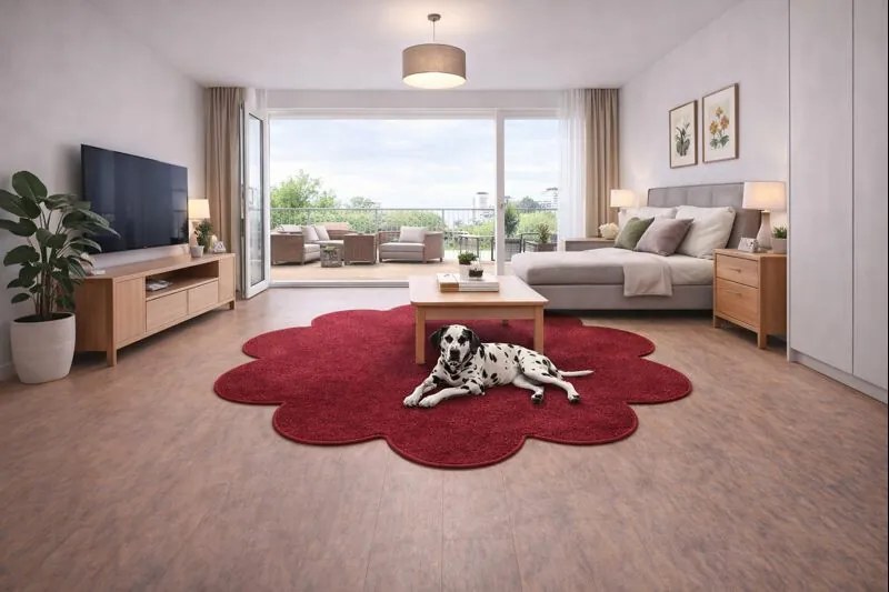 Vopi, Kusový koberec Eton vínově červený květina, 120x120 kytka, červená, ložnice