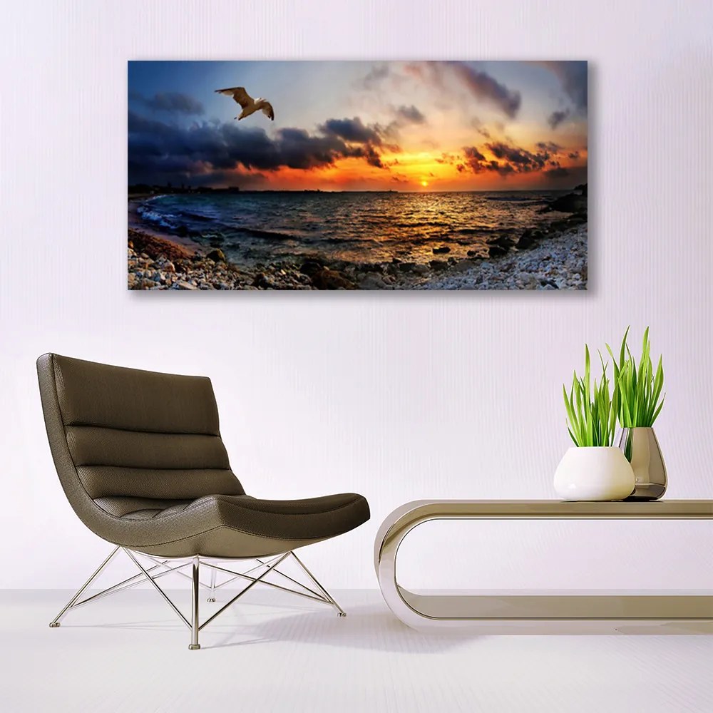 akrylový obraz Racek Moře Pláž Krajina 120x60 cm