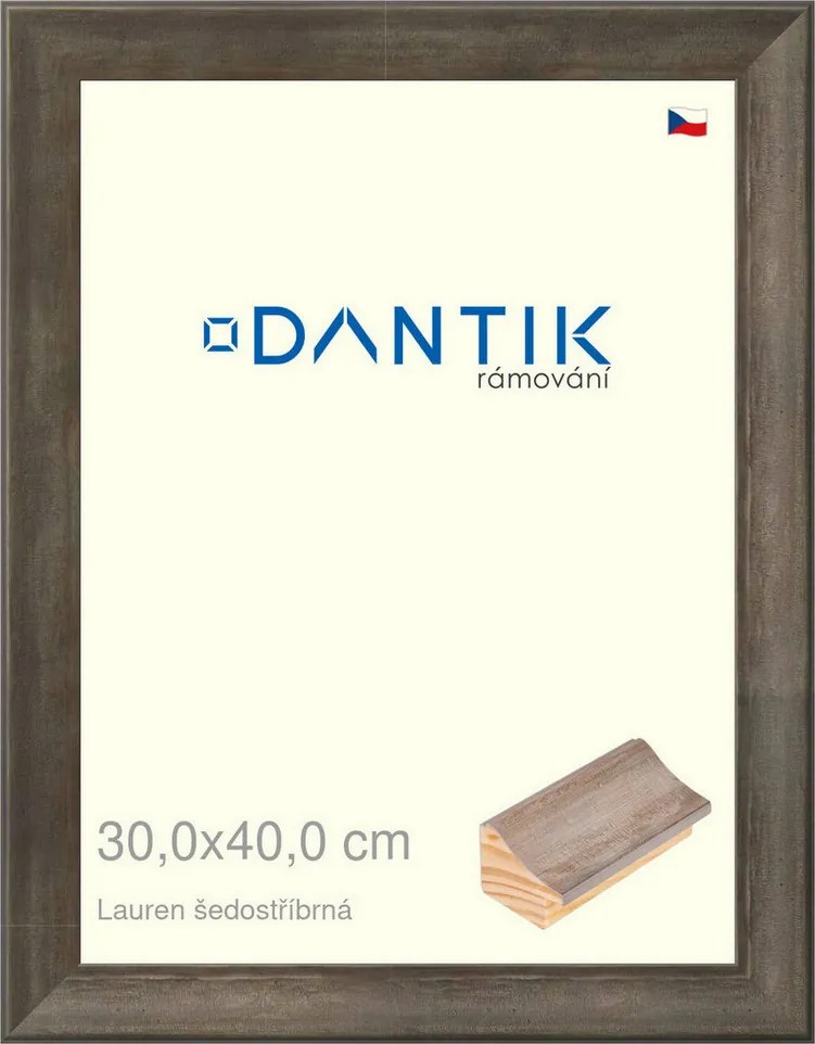 DANTIK rámeček 30x40 | Lauren šedostříbrná (Plexi Čiré)
