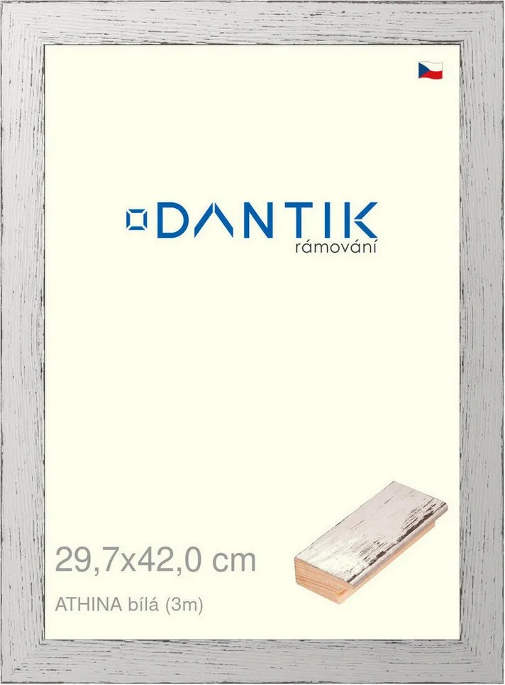 DANTIK rámeček 29,7x42 | ATHINA Bílá (Plexi Čiré)