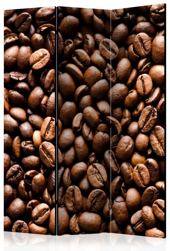 Paraván - Roasted coffee beans [Room Dividers] 135x172