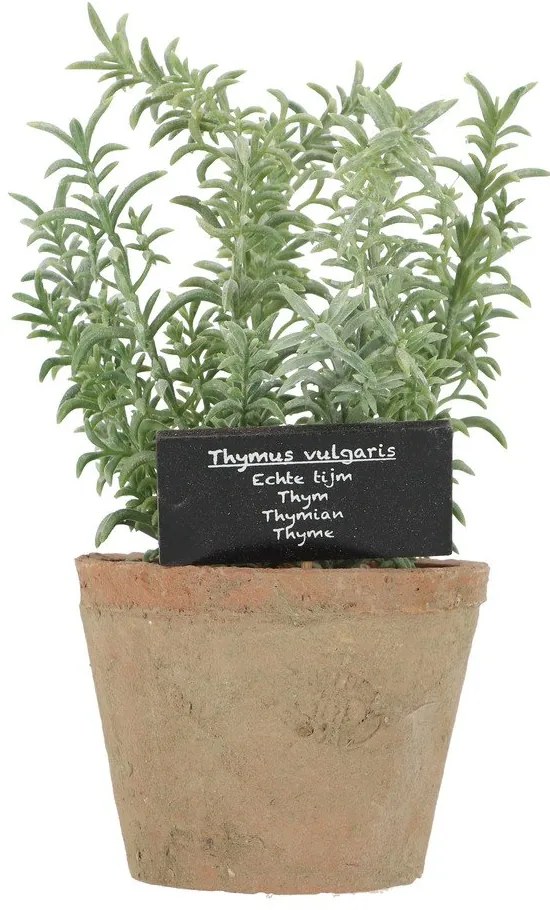 Umělá rostlina (výška 21,5 cm) Thyme – Esschert Design