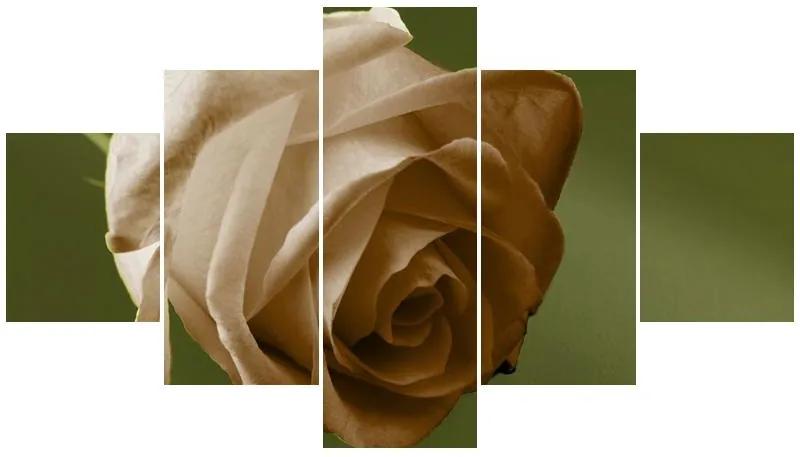 Obraz načervenalé růže (125x70 cm), 40 dalších rozměrů