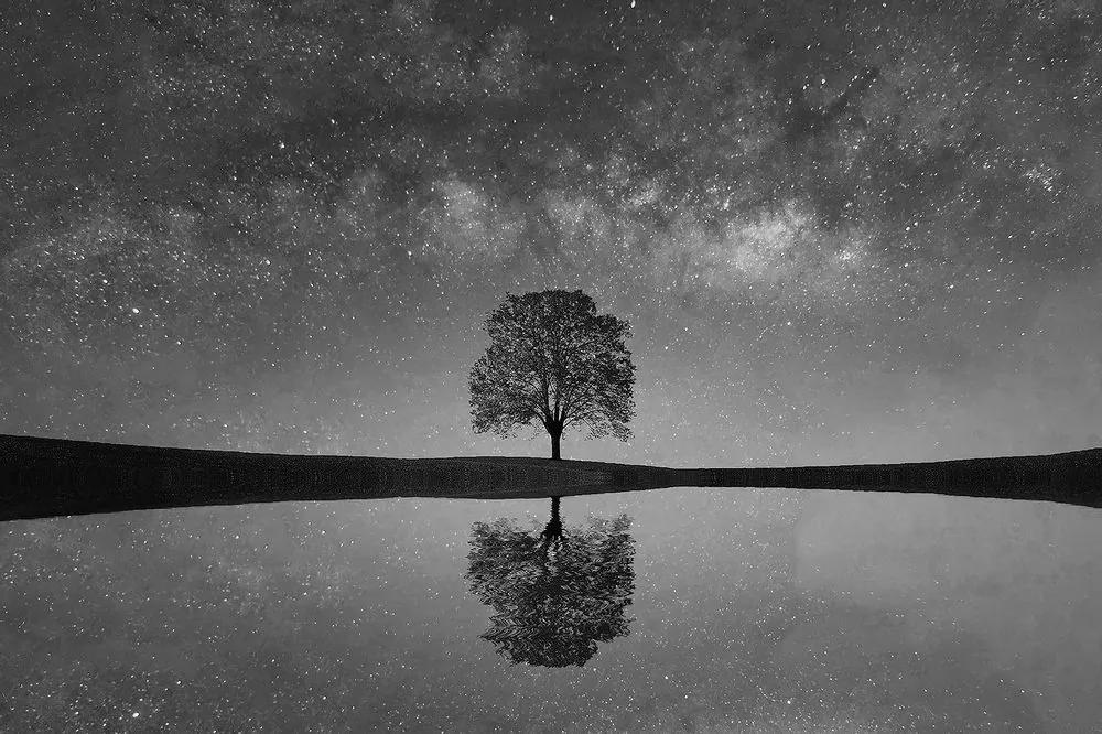Samolepící fototapeta černobílá hvězdná obloha nad osamělým stromem - 225x150 cm