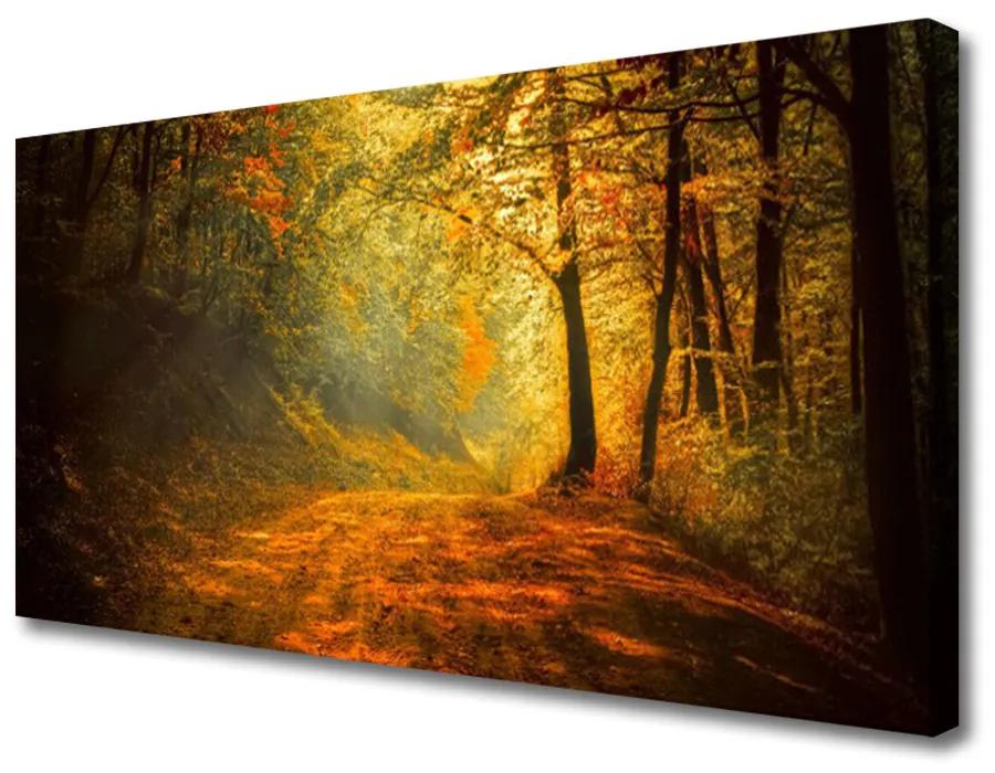 Obraz na plátně Les Cestička Stromy Příroda 100x50cm