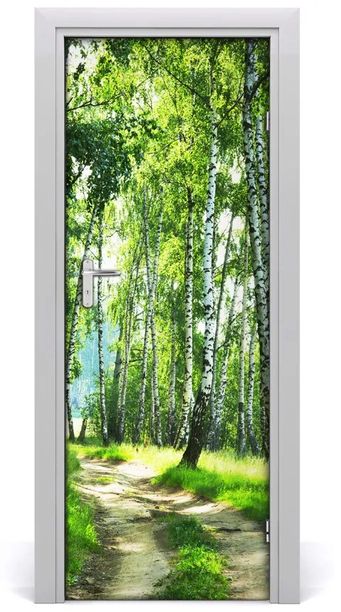 Fototapeta na dveře břízový les 85x205 cm