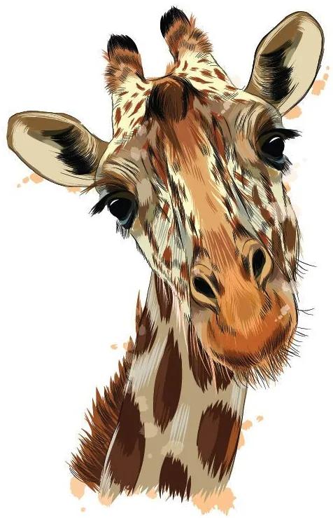 Plakát Žirafa v detailu