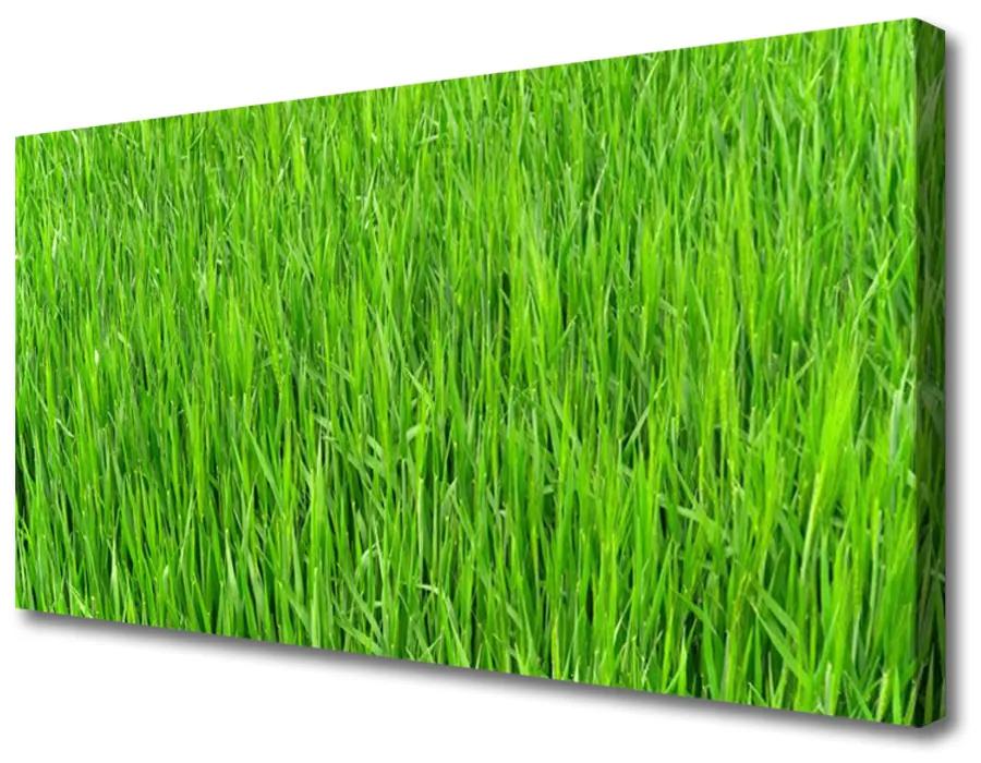 Obraz na plátně Zelená Tráva Příroda Trávník 120x60 cm