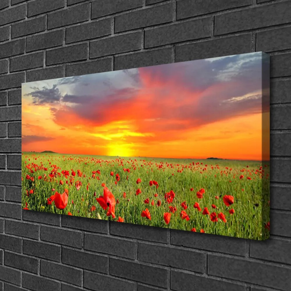 Obraz na plátně Máky Slunce Rostlina Příroda 100x50 cm