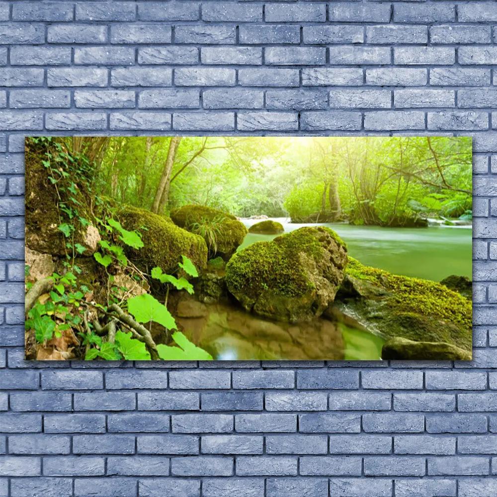 akrylový obraz Jezero Kameny Příroda 120x60 cm