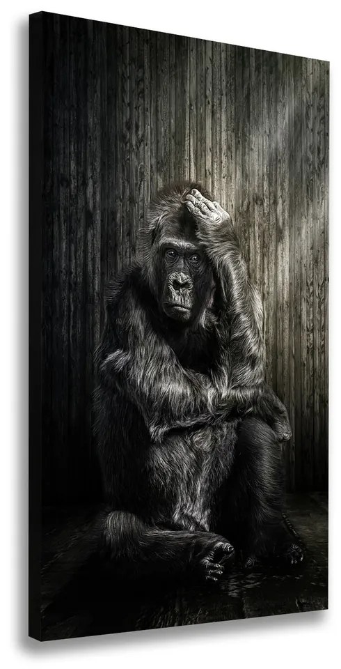 Wallmuralia Foto obraz tištěný na plátně Gorila 50x100 cm