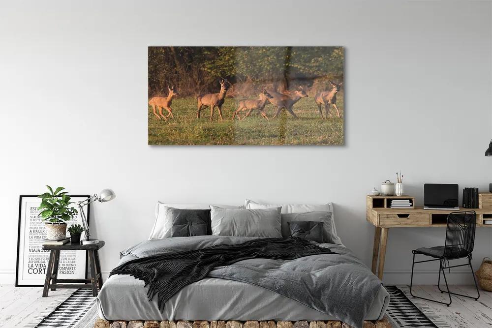 akrylový obraz Deer Golf svítání 140x70 cm