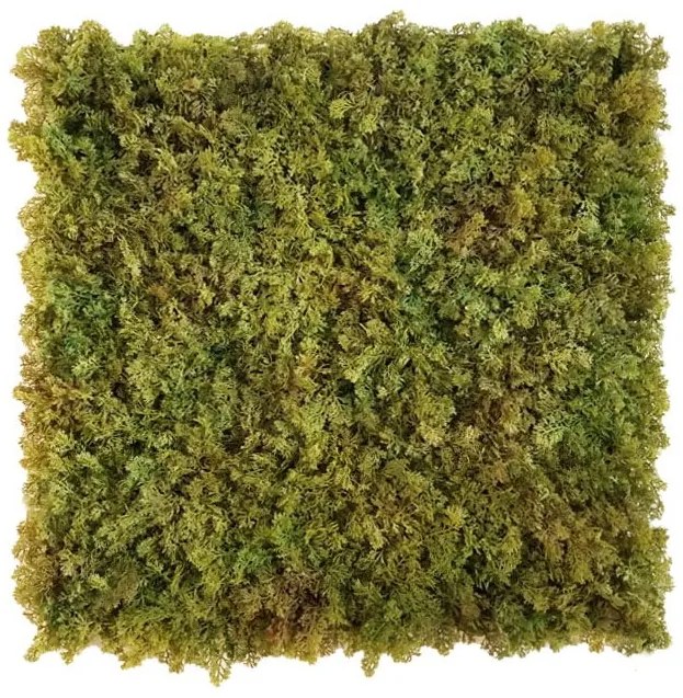 Shaggy moss green/brown, dílec 50 x 50 cm