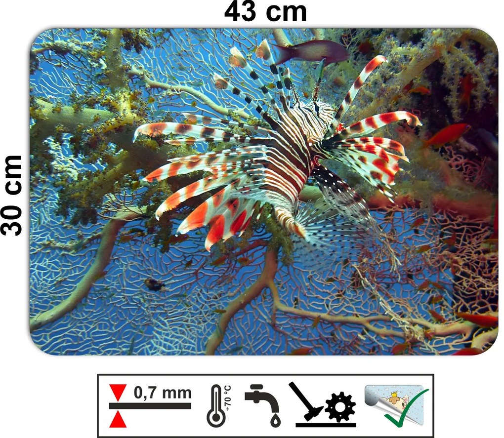 PokojovaDekorace.cz, Prostírání - 396, Ryby, 43x30cm