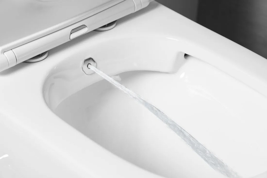 Sapho Sapho, PACO CLEANWASH WC kombi mísa, integrovaná baterie a bidetová sprška, spodní/zadní, bílá, PC1012RX