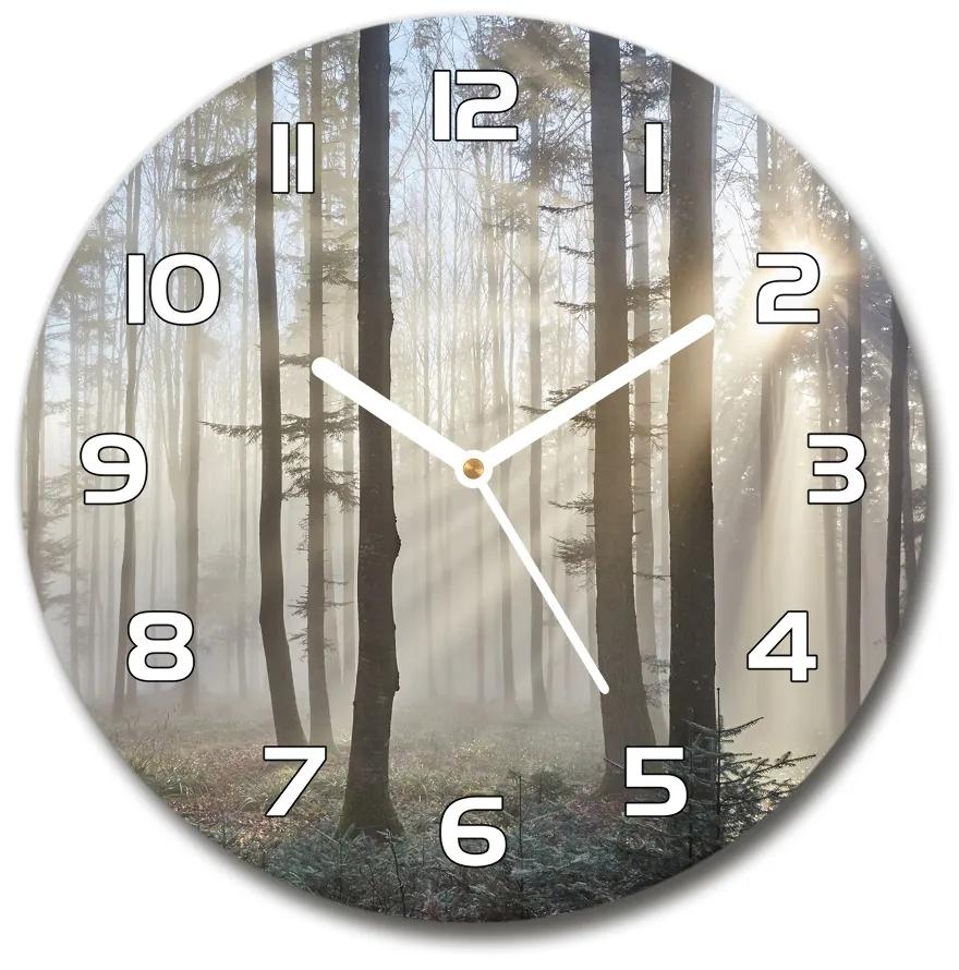 Wallmuralia Skleněné hodiny na stěnu Mlha v lese fi 30 cm