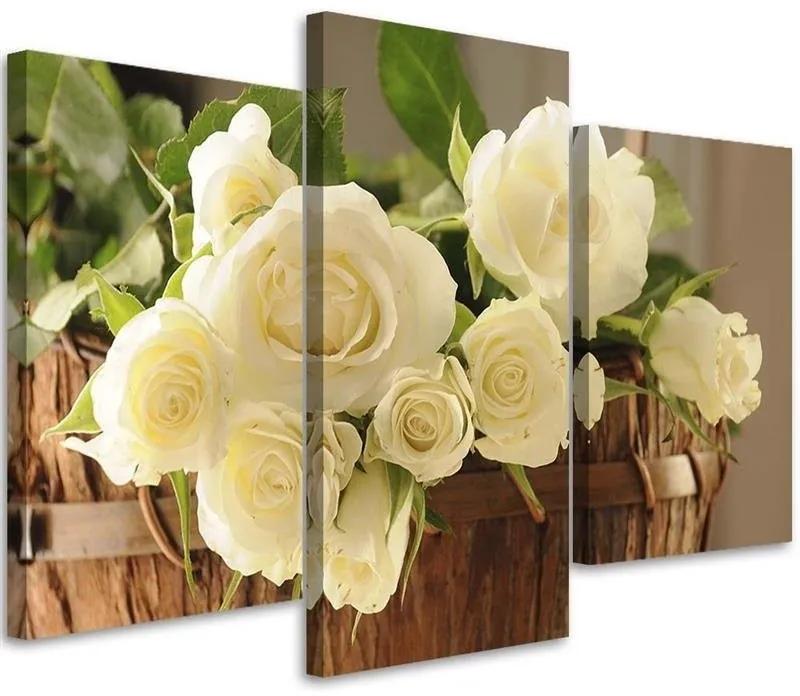 Obraz na plátně třídílný Bílé růže - 60x40 cm