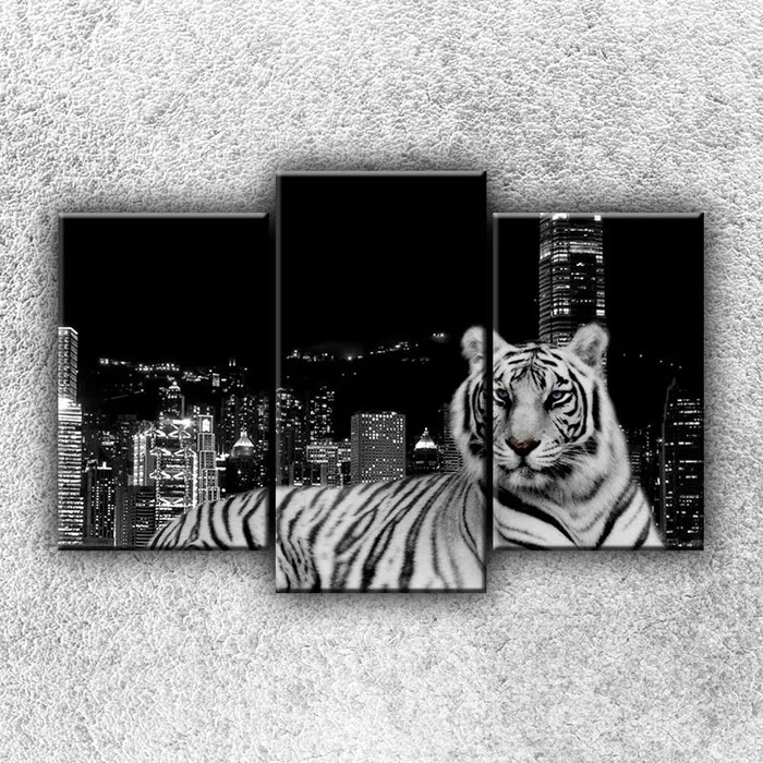 3 dílný obraz na stěnu Městský tygr HIT