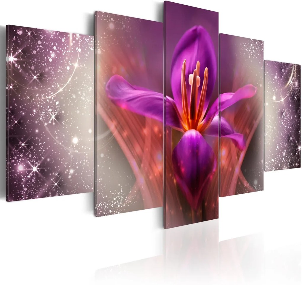 Pětidílné obrazy- hvězdný květ (200x100 cm) - Murando DeLuxe