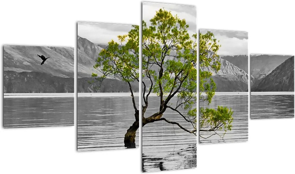 Obraz stromu uprostřed jezera (125x70 cm), 40 dalších rozměrů