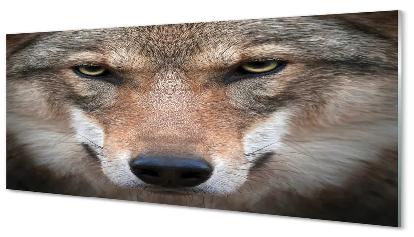 akrylový obraz wolf Eyes 120x60 cm