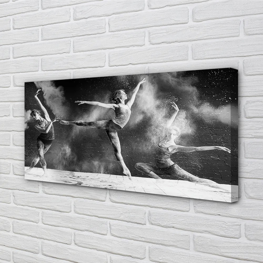 Obrazy na plátně Dámská Baleríny kouř 100x50 cm