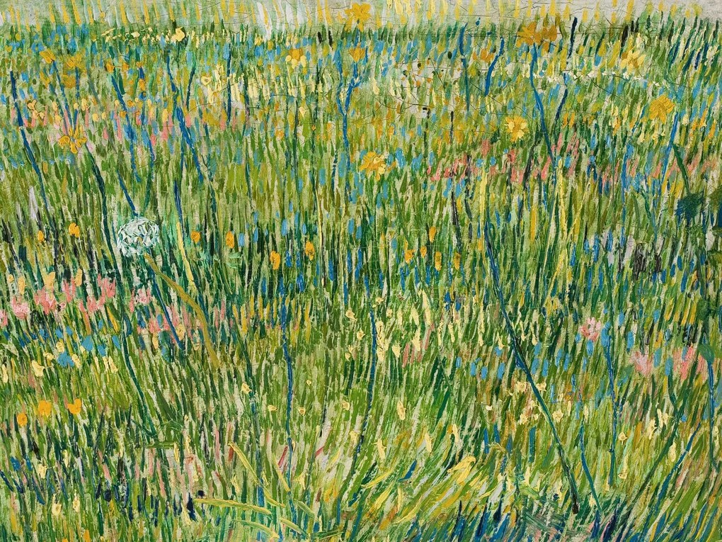 Obrazová reprodukce A Patch of Grass - Vincent van Gogh, (40 x 30 cm)