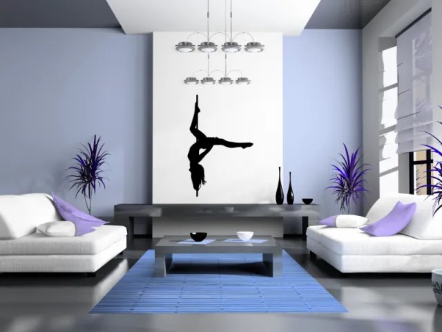 Samolepka Pole dance