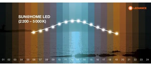 Ledvance - LED Stmívatelná lampa SUN@HOME LED/20W/230V 2200-5000K CRI 95 Wi-Fi