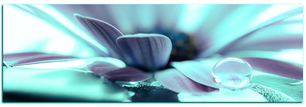 Obraz na plátně - Kapka rosy na lupenech květu - panoráma 580FA (120x45 cm)