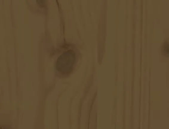 vidaXL Odkládací skříňka 100 x 40 x 90 cm masivní borové dřevo [821770] Barva: Černá