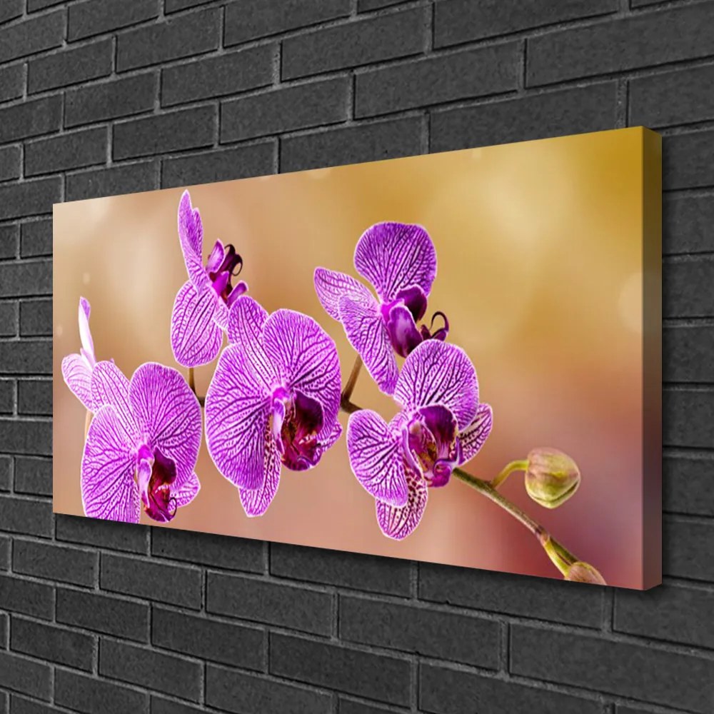 Obraz na plátně Orchidej Výhonky Květiny Příroda 125x50 cm