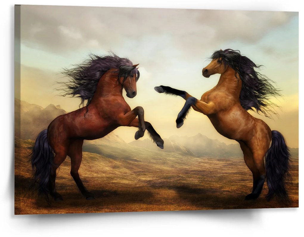 Obraz - Vzpínající se koně 150x110 cm
